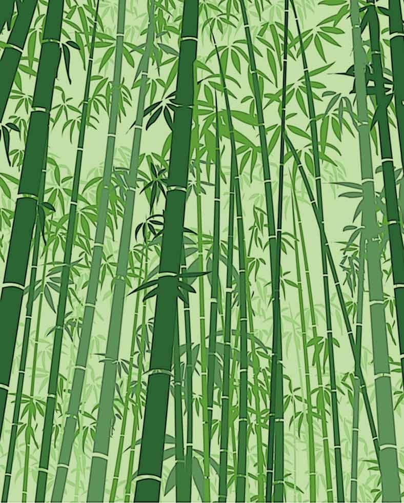 Zhubamboo – Bamboo Wall and Flooring Philippines